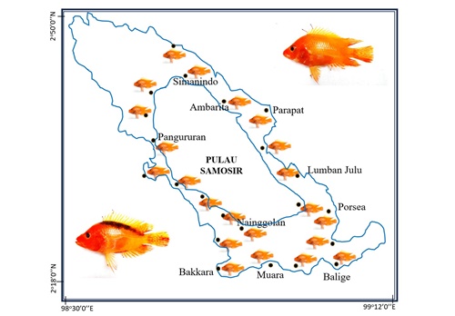 IPB University Teliti Populasi Ikan Red Devil yang Resahkan Nelayan ...